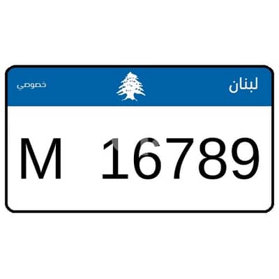 M 1 6 7 8 9 Special Plate Number - Number Plates - 114244156